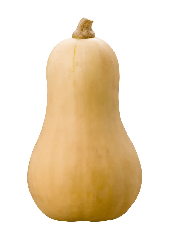 Pumpa Butternut EKO 1-pack, ca 900g | Jämför pris & handla via Matspar.se