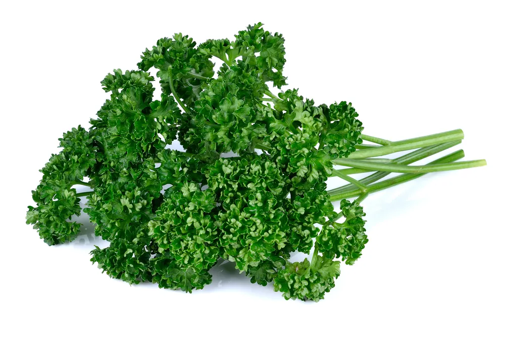 Persilja i Ask, ca 20g | Jämför pris & handla via Matspar.se